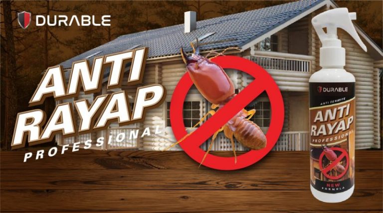 Ada 200 Jenis Rayap di Indonesia, Kenali Jenis yang Suka Menggerogoti ...